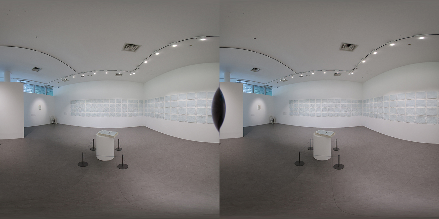 Canon RF5.2mm F2.8 L DUAL FISHEYE - raonphoto